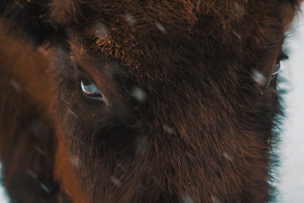 What Is ELK-BLEDOM on My Bluetooth List? » 3 Easy Methods