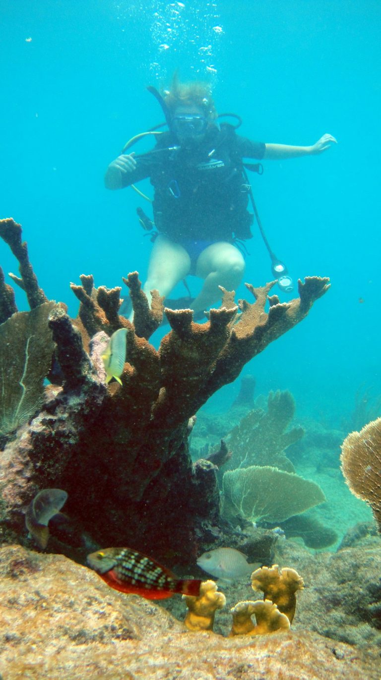 Marine Biologist: Career Outlook and Salary Guide » 3 Easy Methods